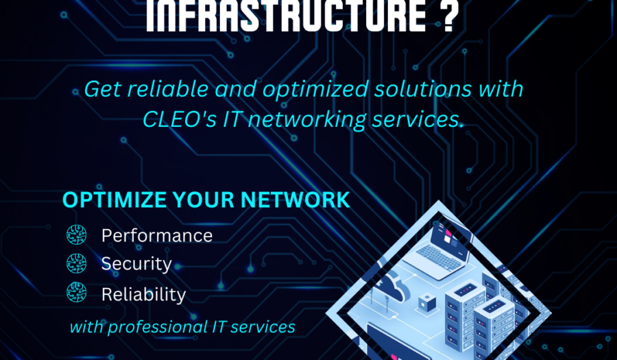 IT Networking Solutions - Cleo Consulting
