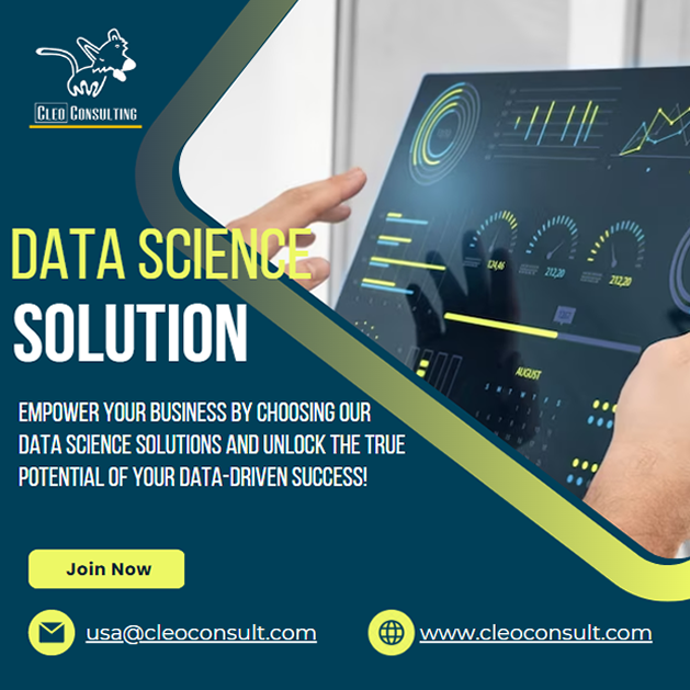 Data Science Solutions - Cleo Consulting