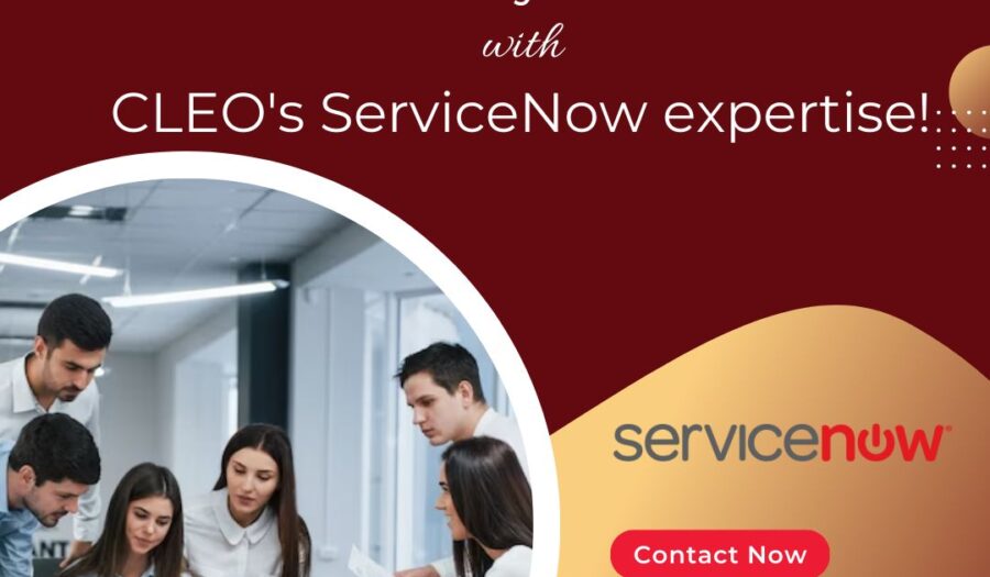ServiceNow Service - Cleo Consulting